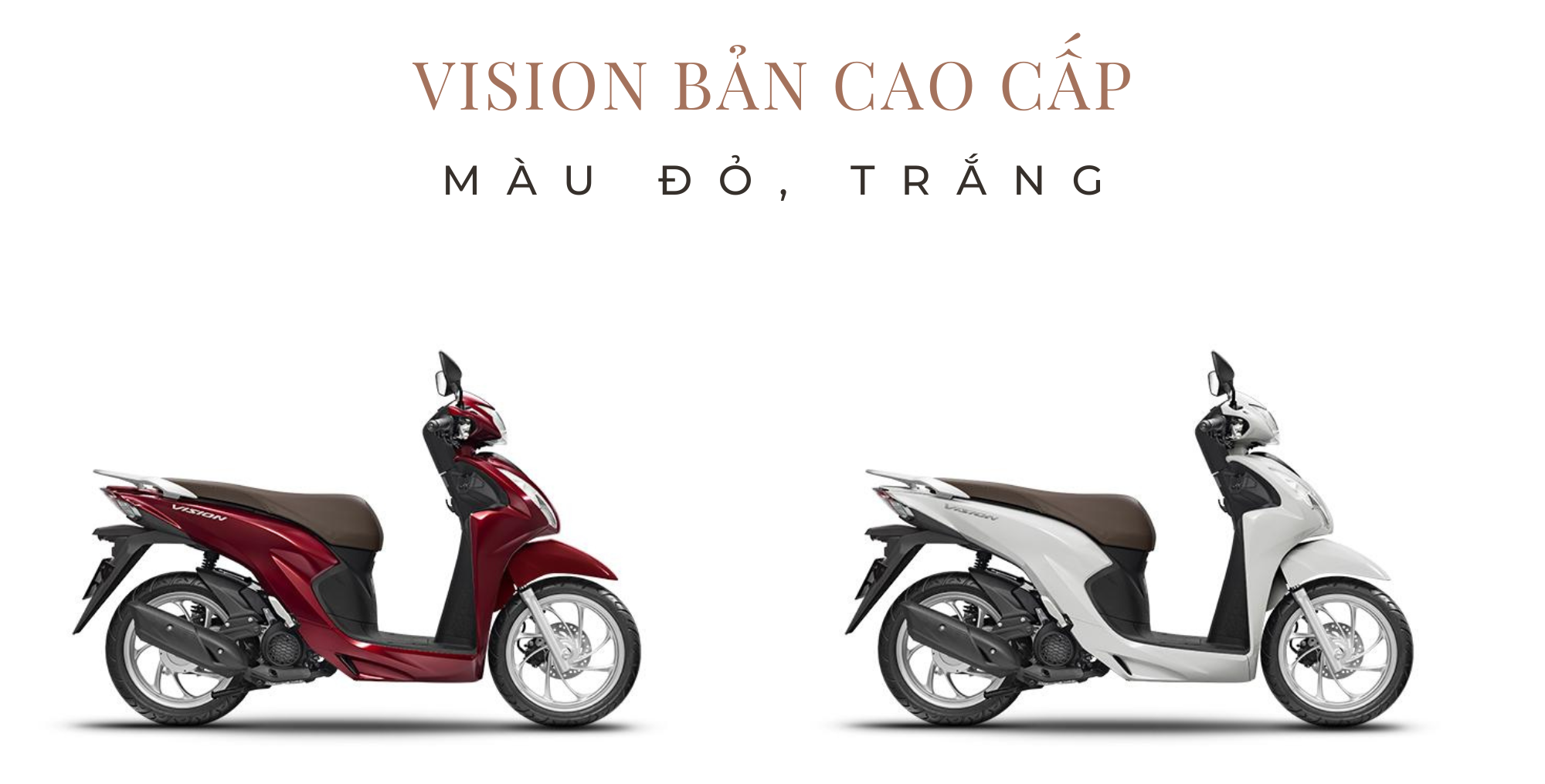 Các Phiên Bản Xe Vision 2023 Có Gì Khác Nhau? Đâu Là Mẫu Xe Hợp Với Bạn? - HÒA BÌNH MINH