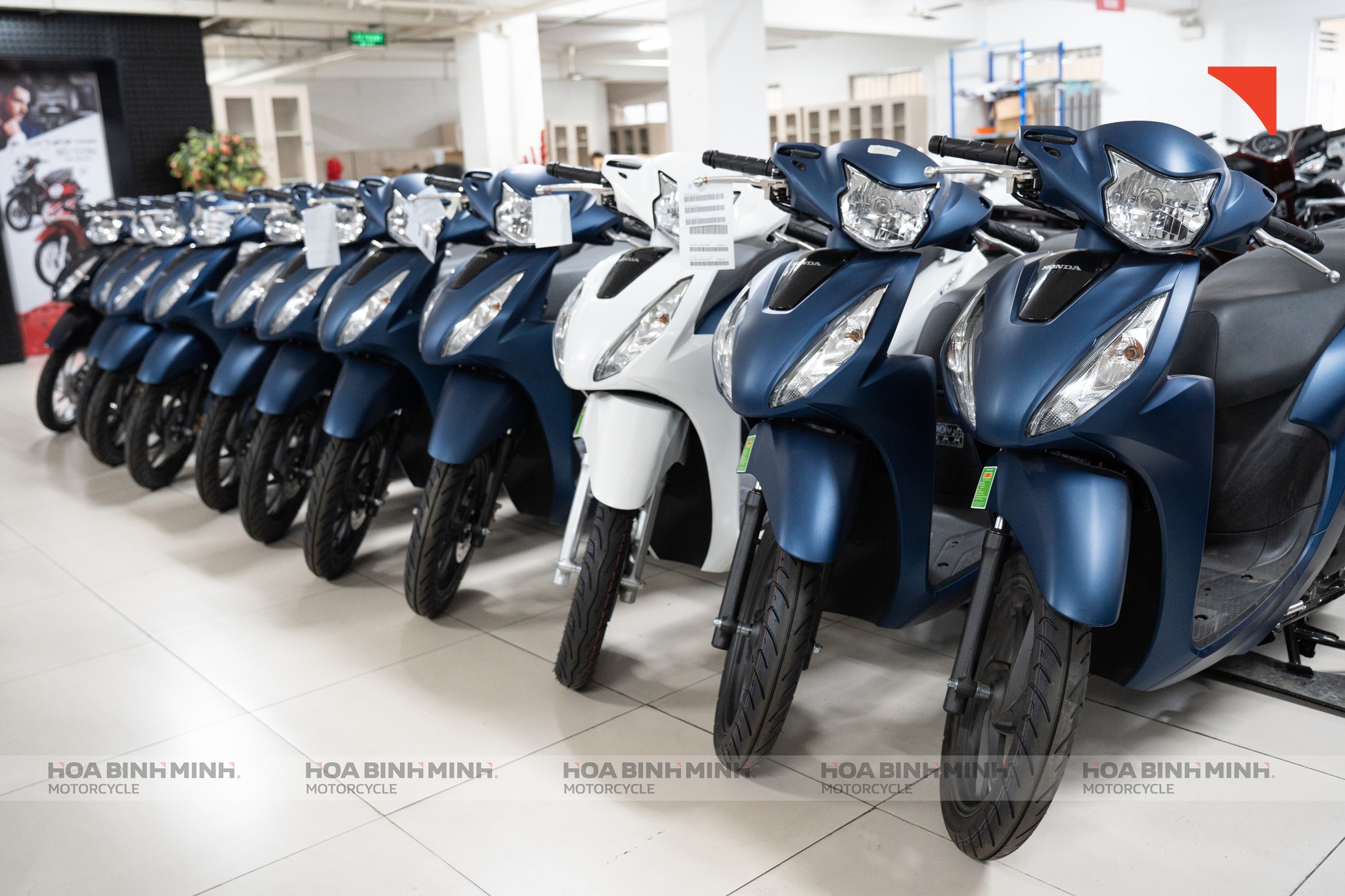 Bảng Giá Xe Vision 2023 Chính Thức Từ đại Lý Mới Nhất (T11/2023)